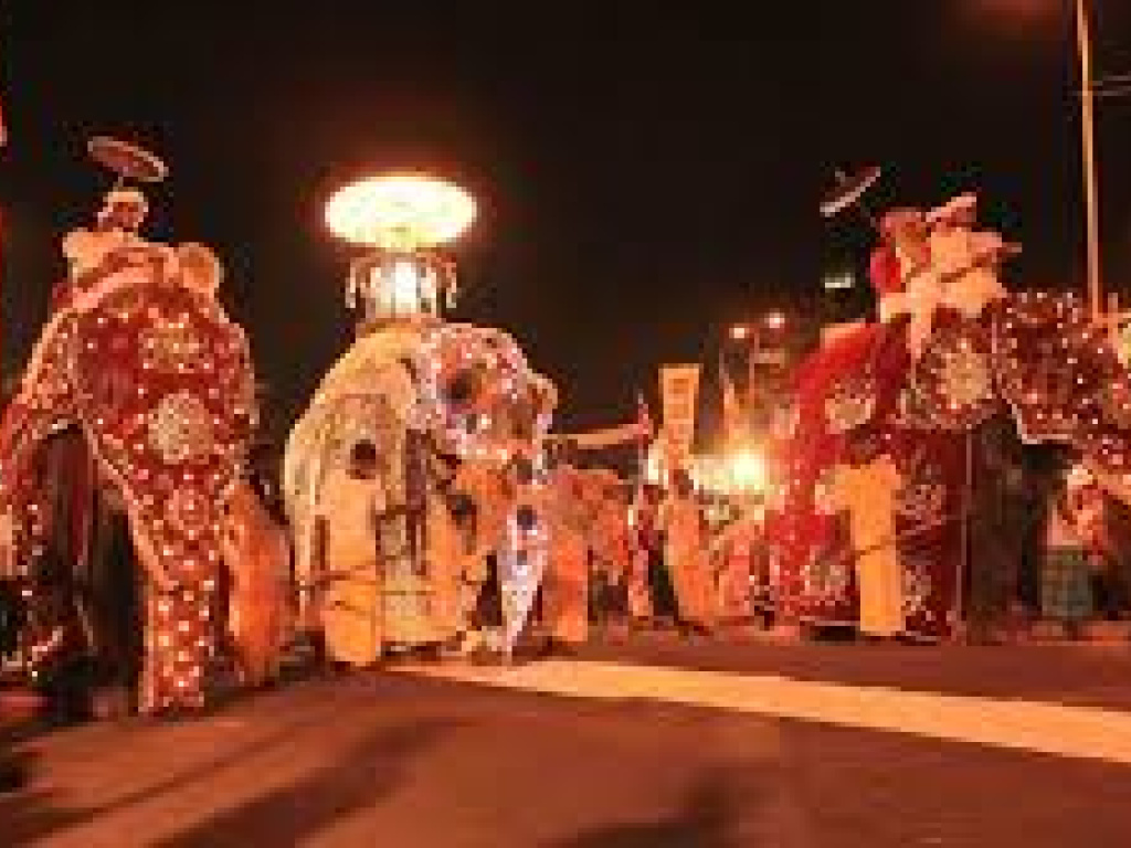 Gangaramaya Navam Maha Perahera – Colombo’s Prestigious Full-Moon ...