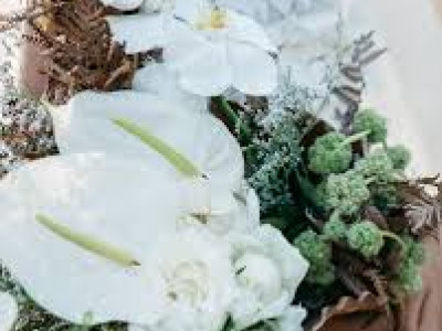Shirohana Flowers – Premium Flower & Gift Boutique in Colombo
