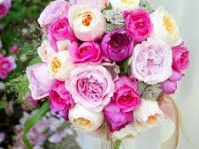 Shirohana Flowers – Premium Flower & Gift Boutique in Colombo