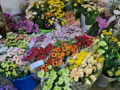 Lassana Flora – Sri Lanka’s Top Online Florist & Gift Delivery Platform