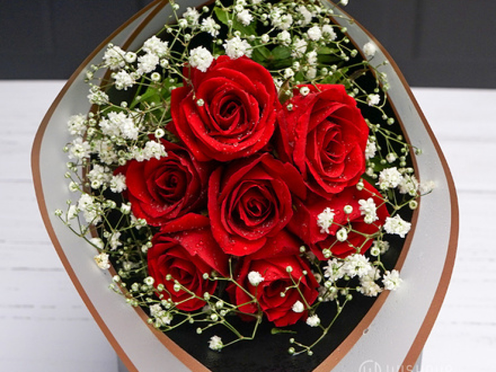 WishQue – Premium Fresh Flowers & Bouquets Delivered Across Sri Lanka