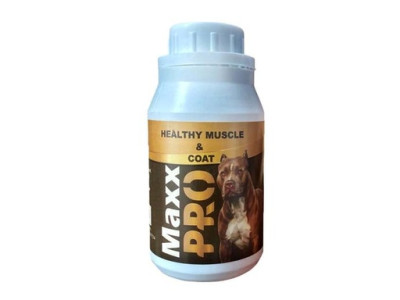 Bawwa.lk – Kandy’s Trusted One–Stop Pet Shop with Island–Wide Delivery