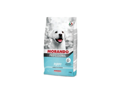 Bawwa.lk – Kandy’s Trusted One–Stop Pet Shop with Island–Wide Delivery