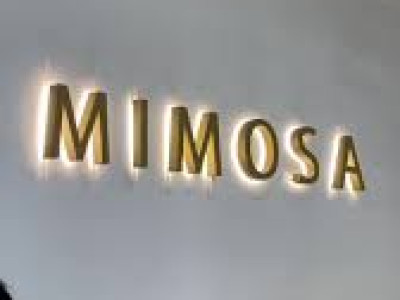 Mimosa Clothing – Colombo’s Premier Fashion Boutique & Online Store